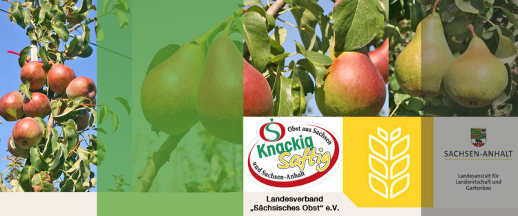 70. Obstbautag 2023 in Sachsen-Anhalt – obstbau-sachsen-anhalt.de